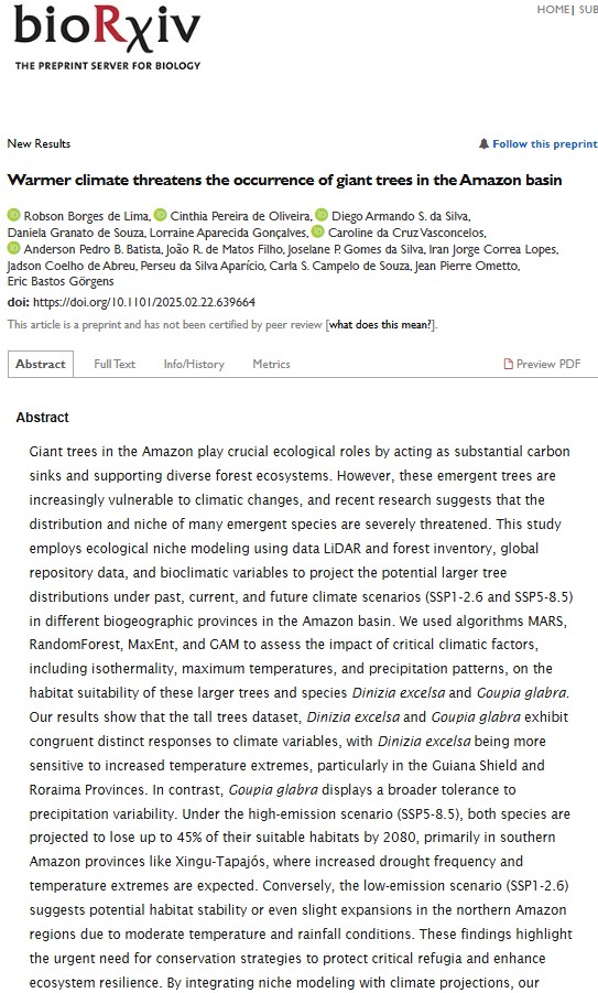 Warmer climate threatens the occurrence of giant trees in the Amazon basin | Caroline C. Vasconcelos